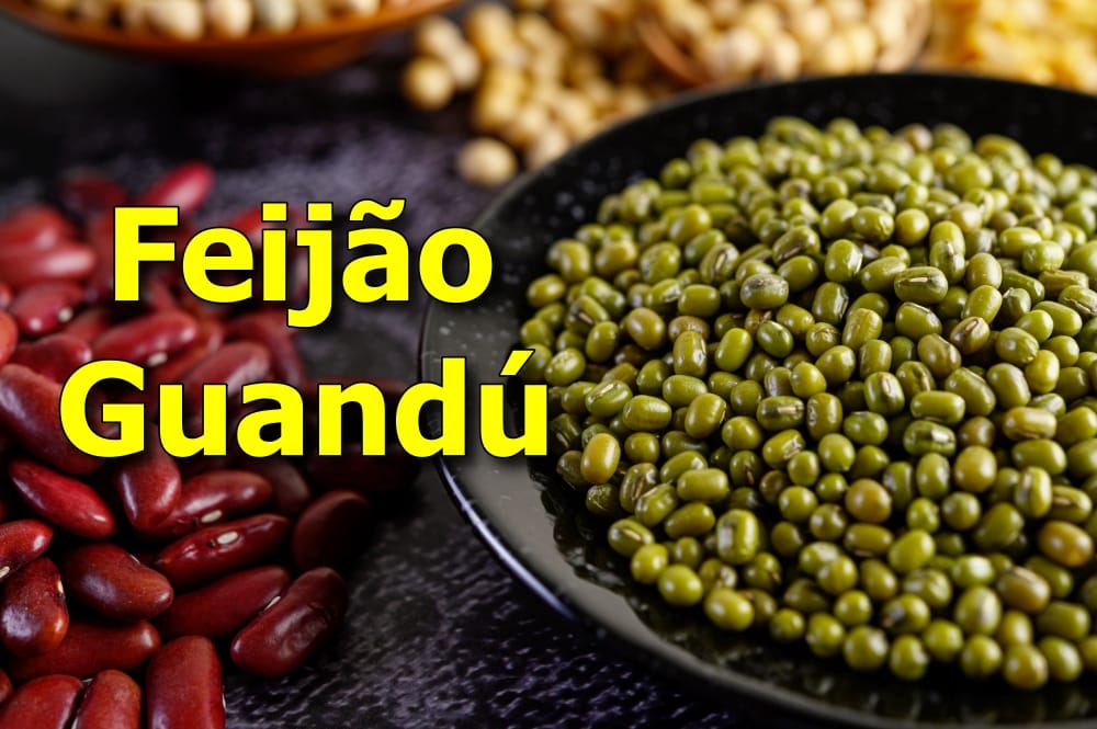 Você conhece o feijão-guandu? veja como usar na horta