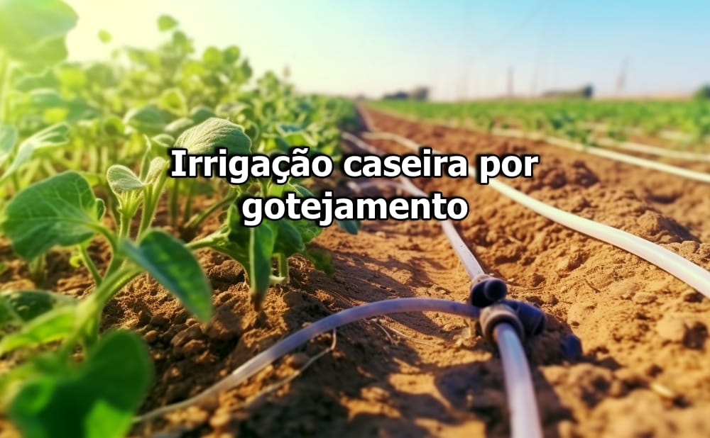 Como montar um sistema de irrigação caseiro de baixo custo